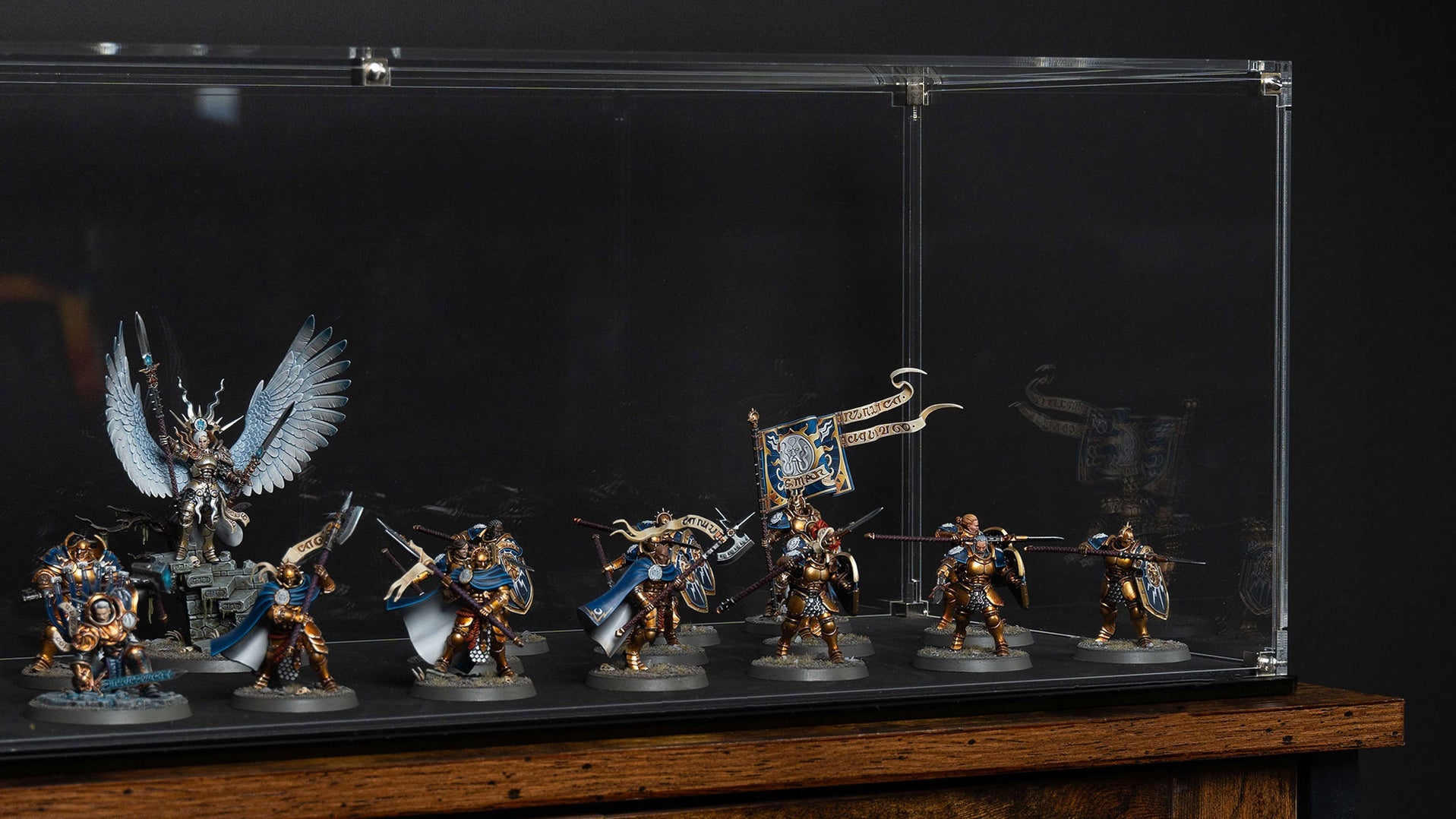 Display Case for Warhammer Army with Clear Background — Wicked Brick