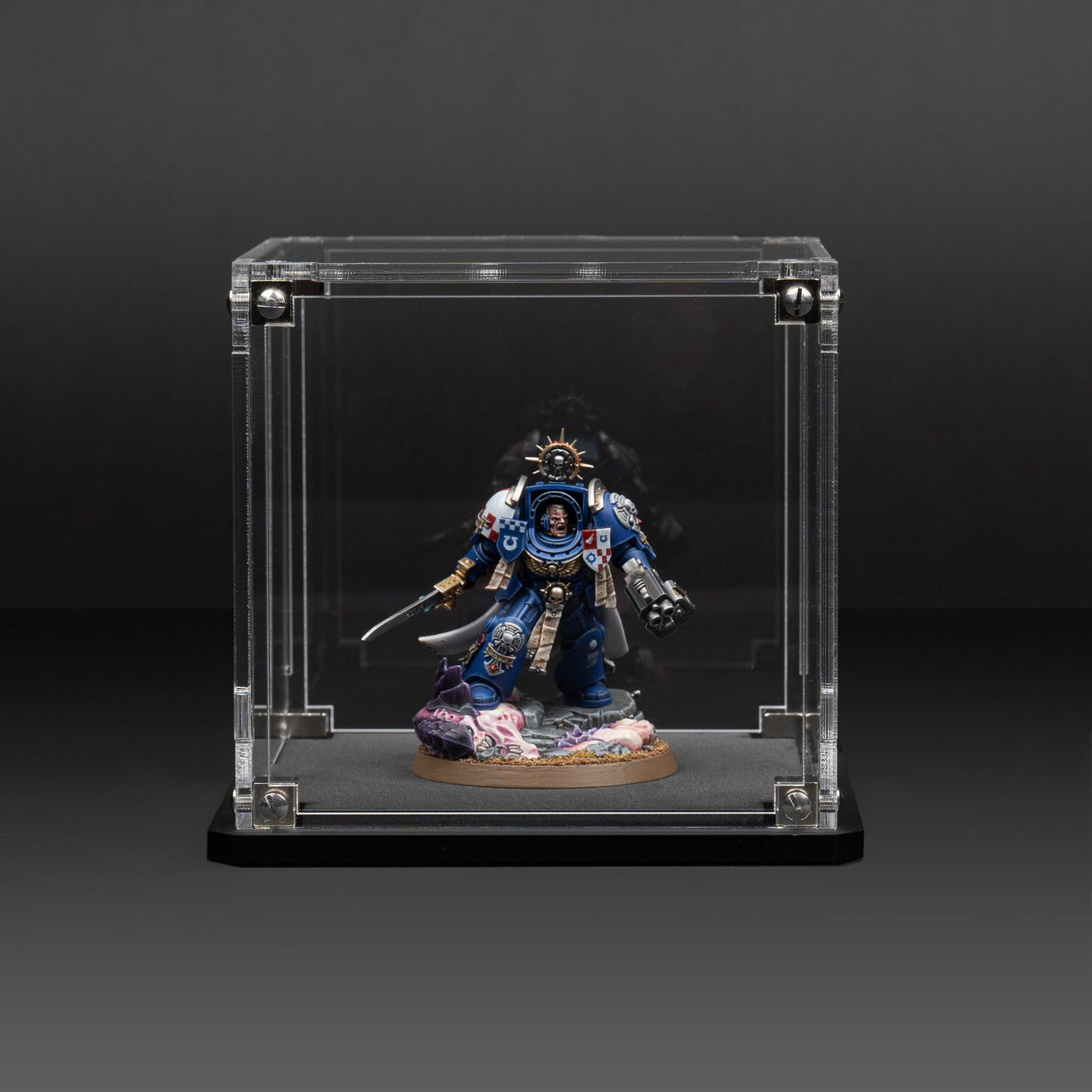Display Case for Warhammer Miniature with Clear Background — Wicked Brick