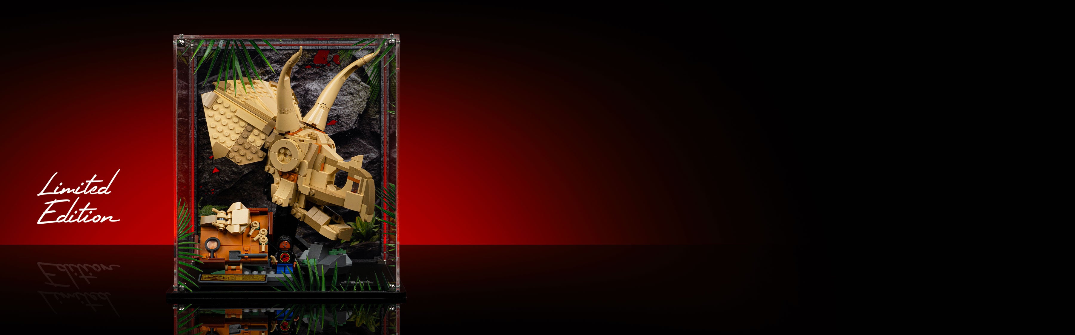 Display Cases and Stands For Pop Culture Collectables | Wicked Brick