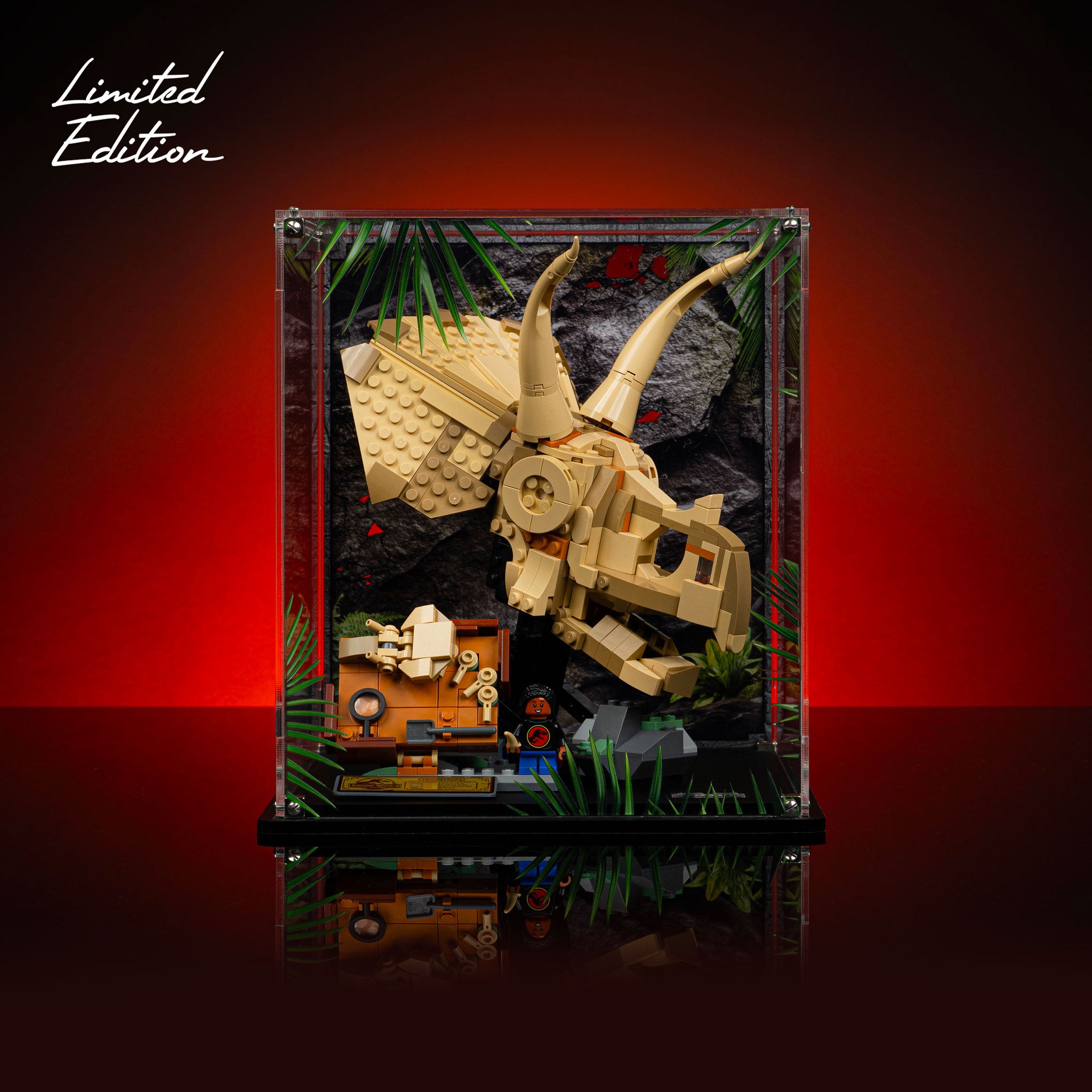 Display Cases and Stands For Pop Culture Collectables | Wicked Brick