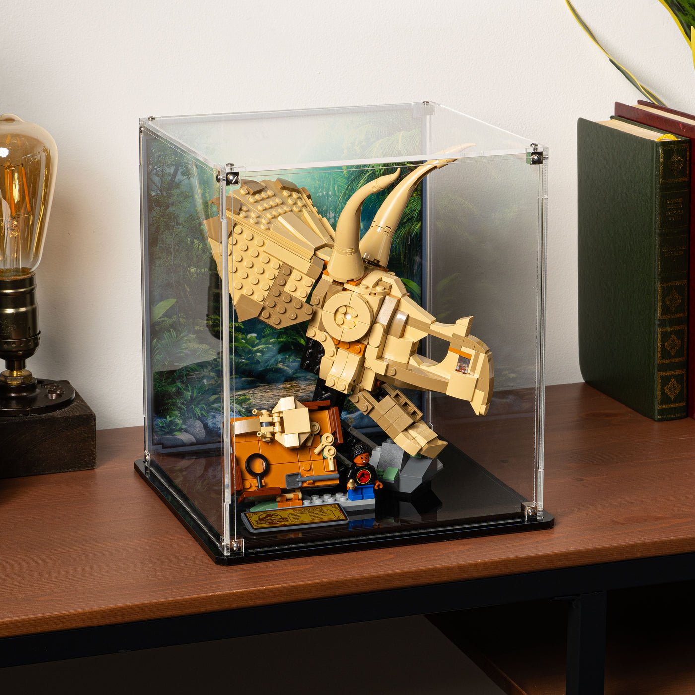 Display Case for LEGO® Jurassic World: Dinosaur Fossils Triceratops Sk ...