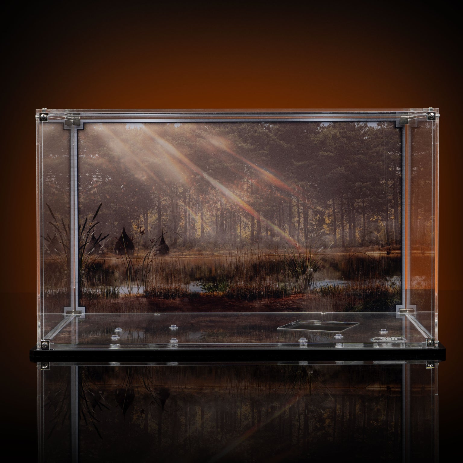 Display Cases and Stands For Pop Culture Collectables | Wicked Brick