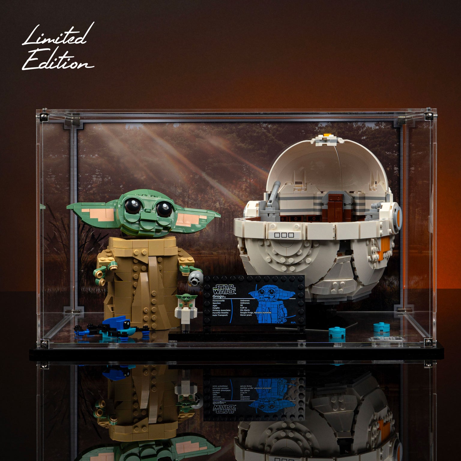 Display Cases and Stands For Pop Culture Collectables | Wicked Brick