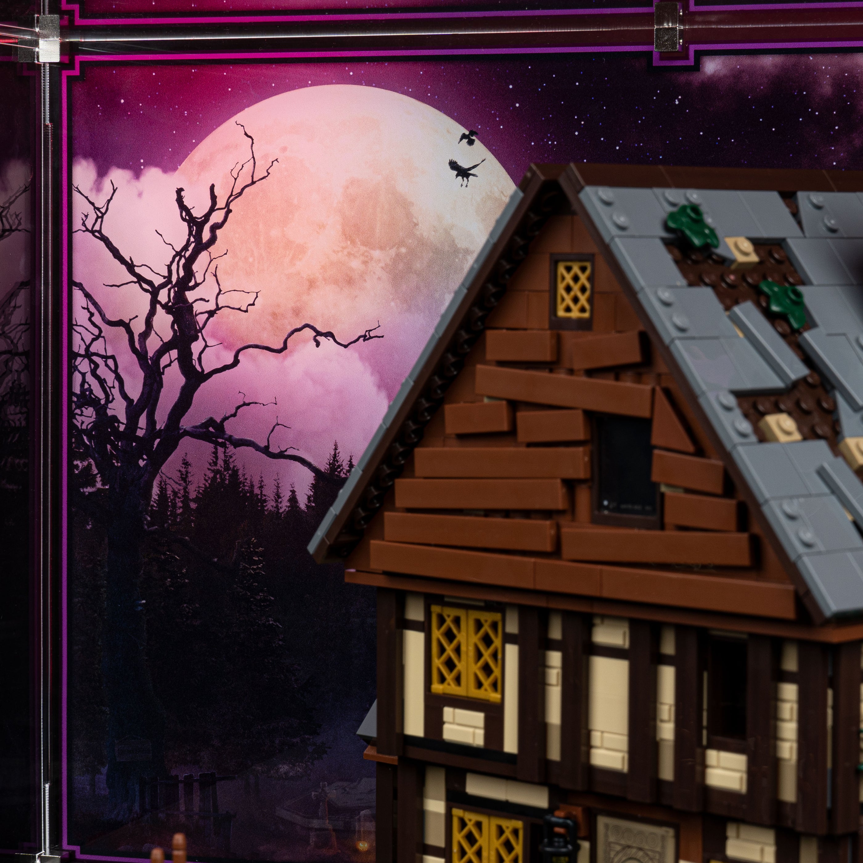 Limited Edition Display Case for LEGO® Ideas Disney Hocus Pocus: Sande ...