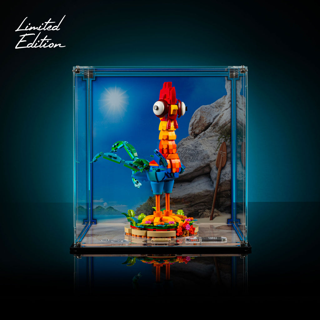 Limited Edition Display Cases — Wicked Brick