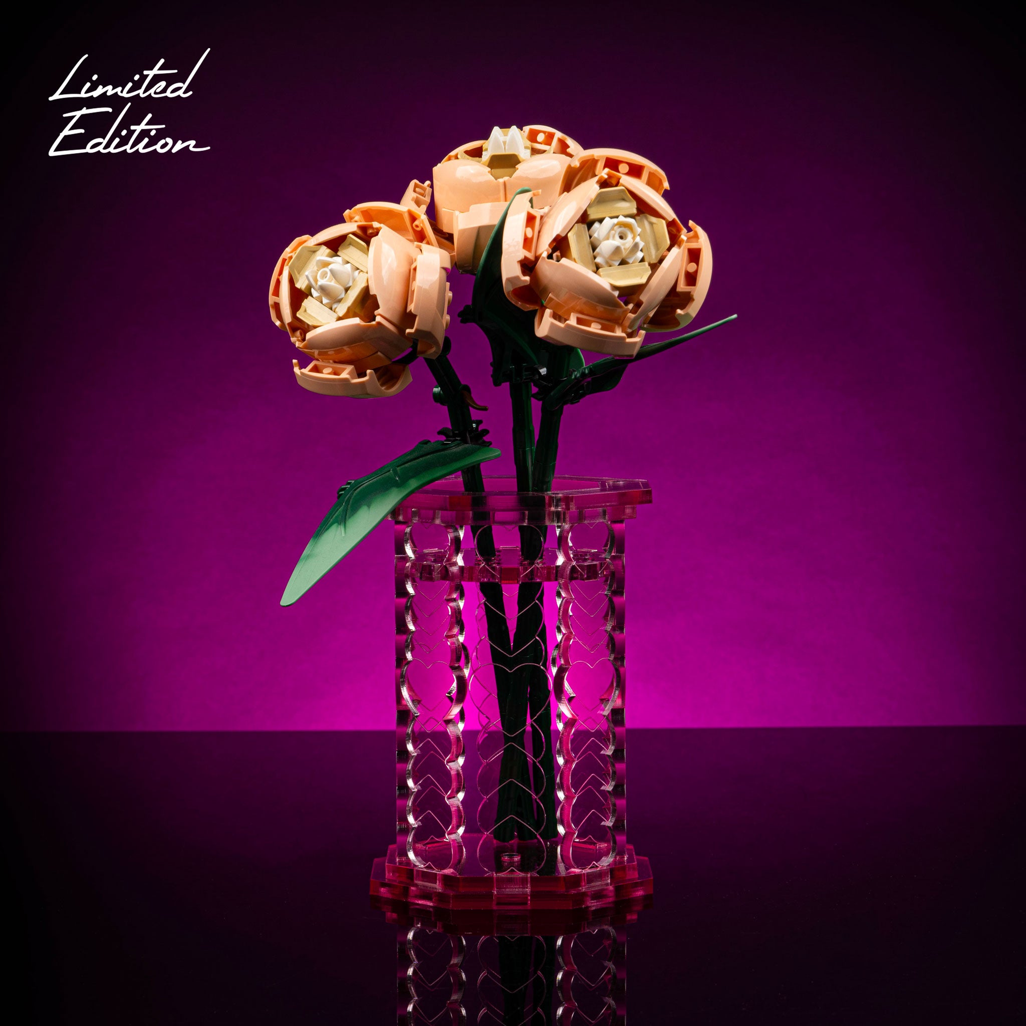 Limited Edition Display Cases — Wicked Brick