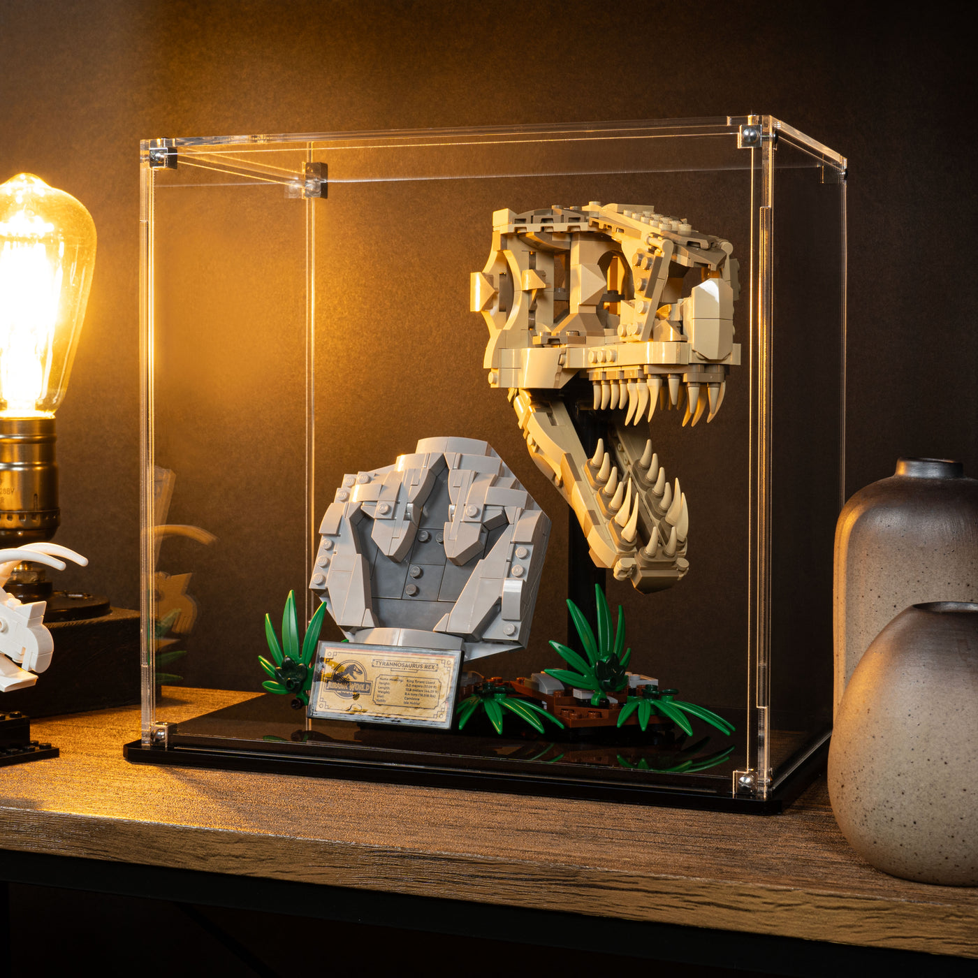Display Case for LEGO® Jurassic World: Dinosaur Fossils: T. rex Skull ...