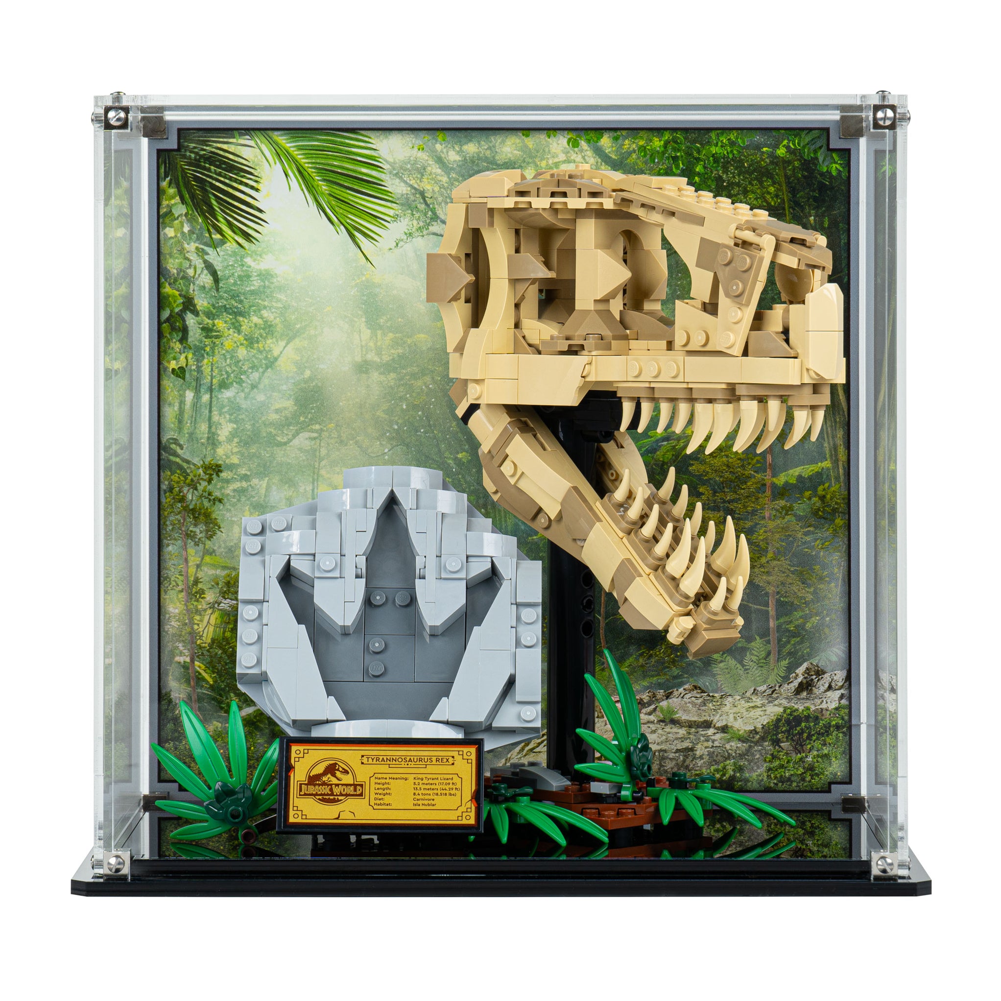 Display Case for LEGO® Jurassic World: Dinosaur Fossils: T. rex Skull ...