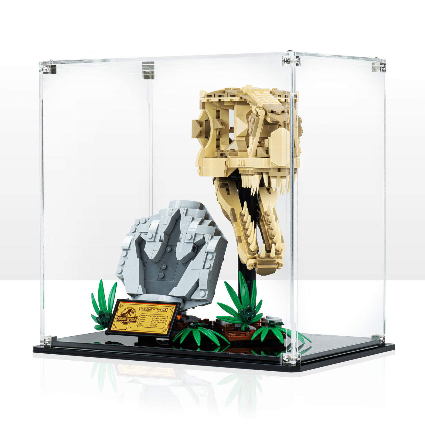 Display Case for LEGO® Jurassic World: Dinosaur Fossils: T. rex Skull ...