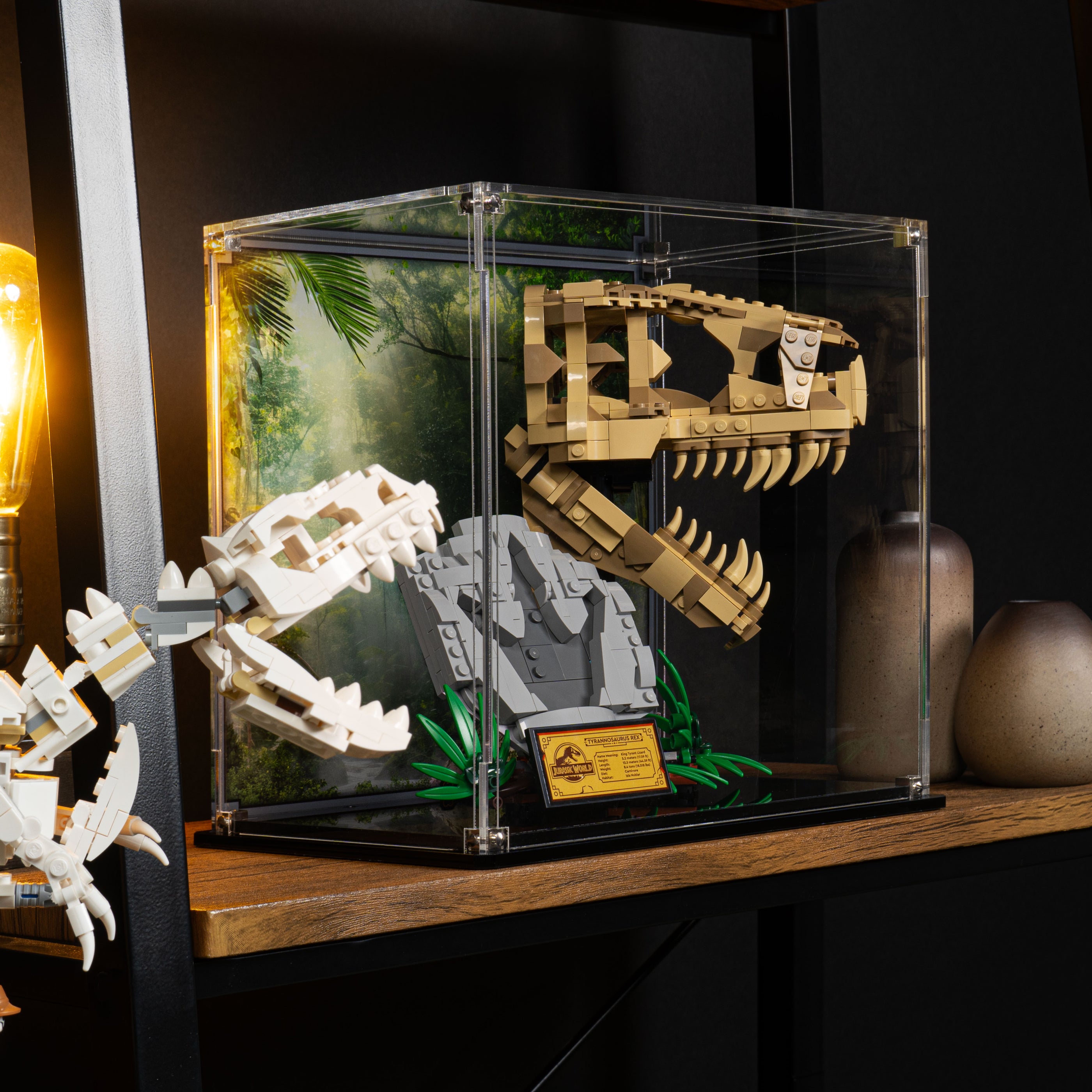 Display Case for LEGO Jurassic Dinosaur Fossils T. rex Skull 76964 ...