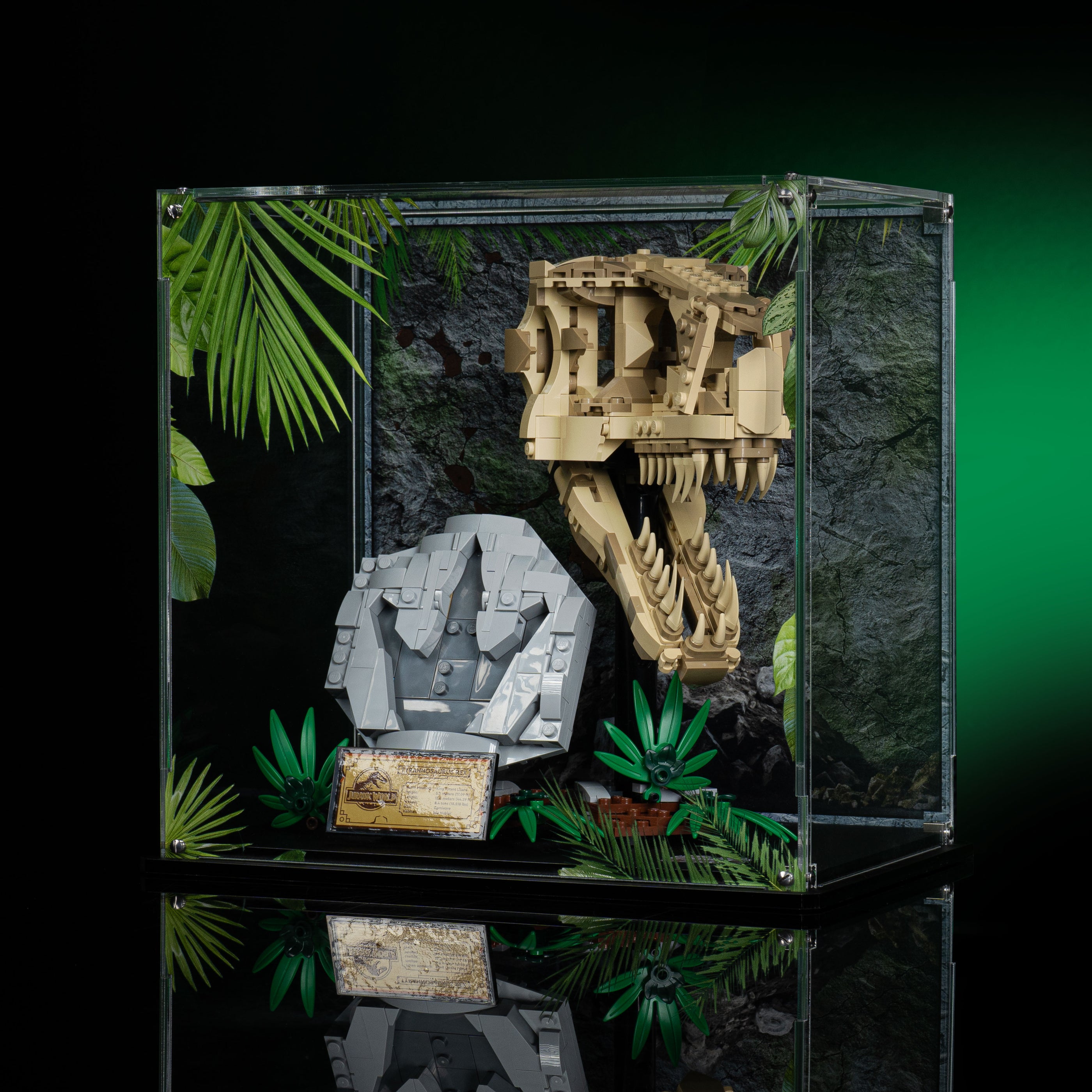 Display Case for LEGO Jurassic Dinosaur Fossils T. rex Skull 76964 ...