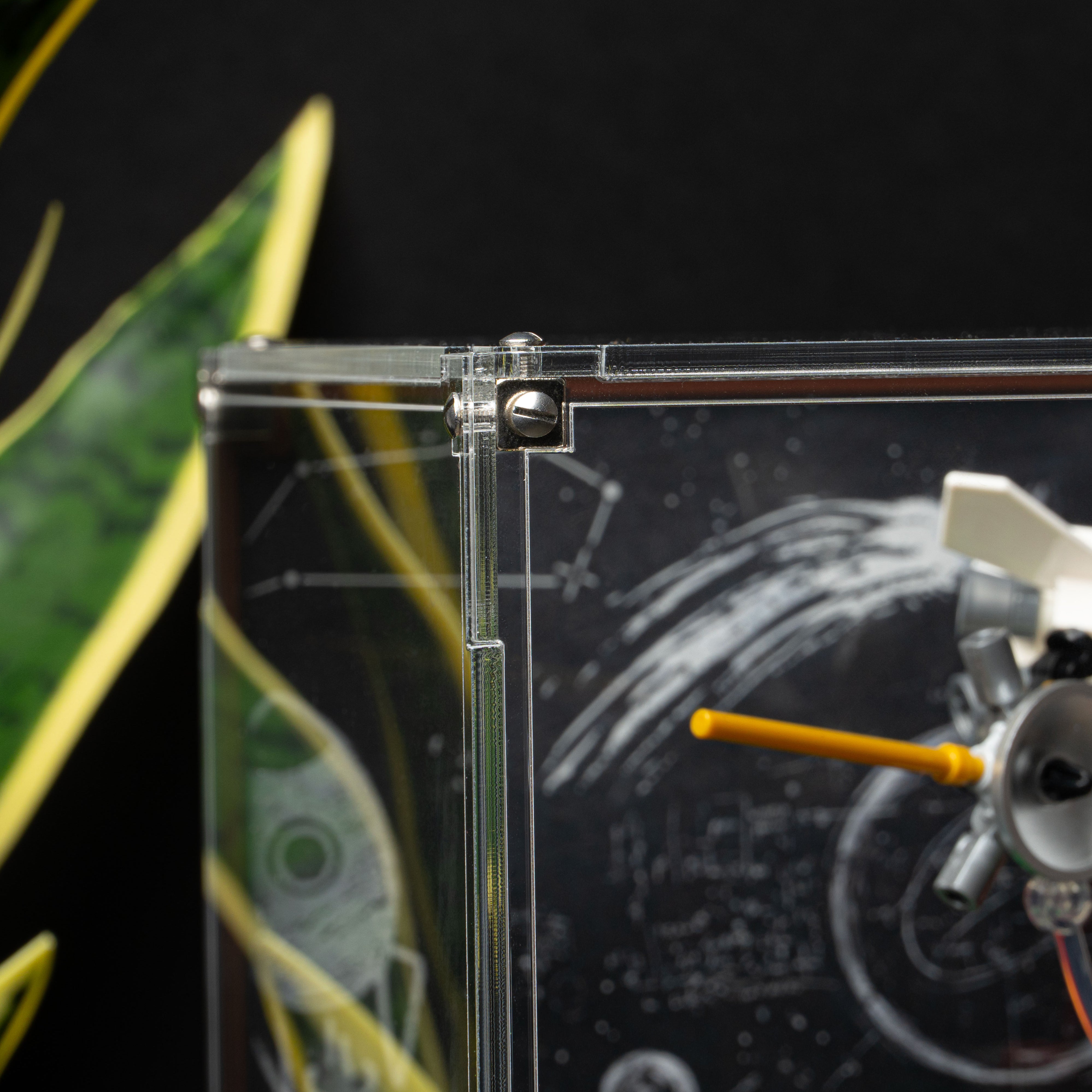 Display Case for LEGO Ideas The Evolution of STEM 21355 — Wicked Brick