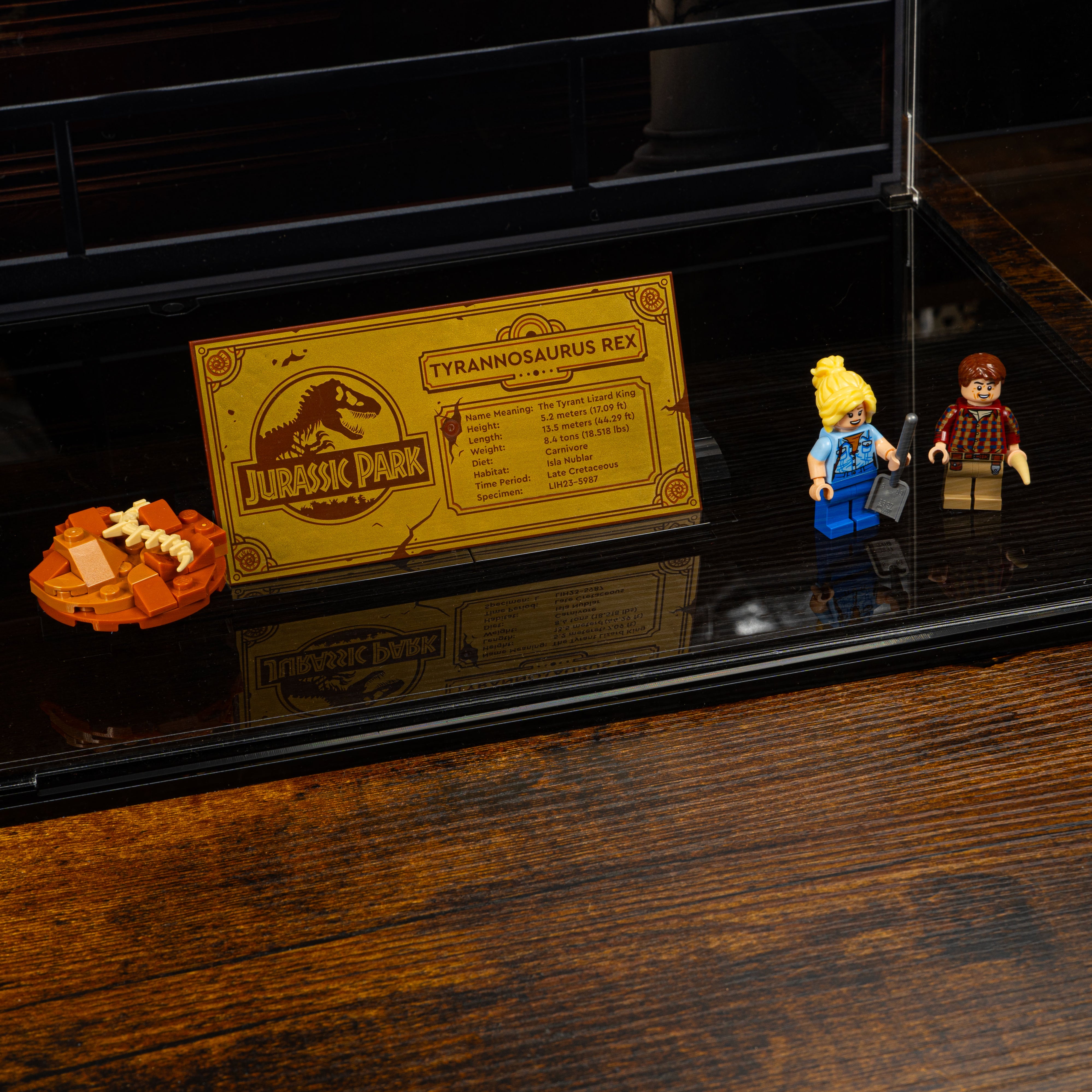 Display Case for LEGO Jurassic Park Dinosaur Fossils T-Rex 76968 ...