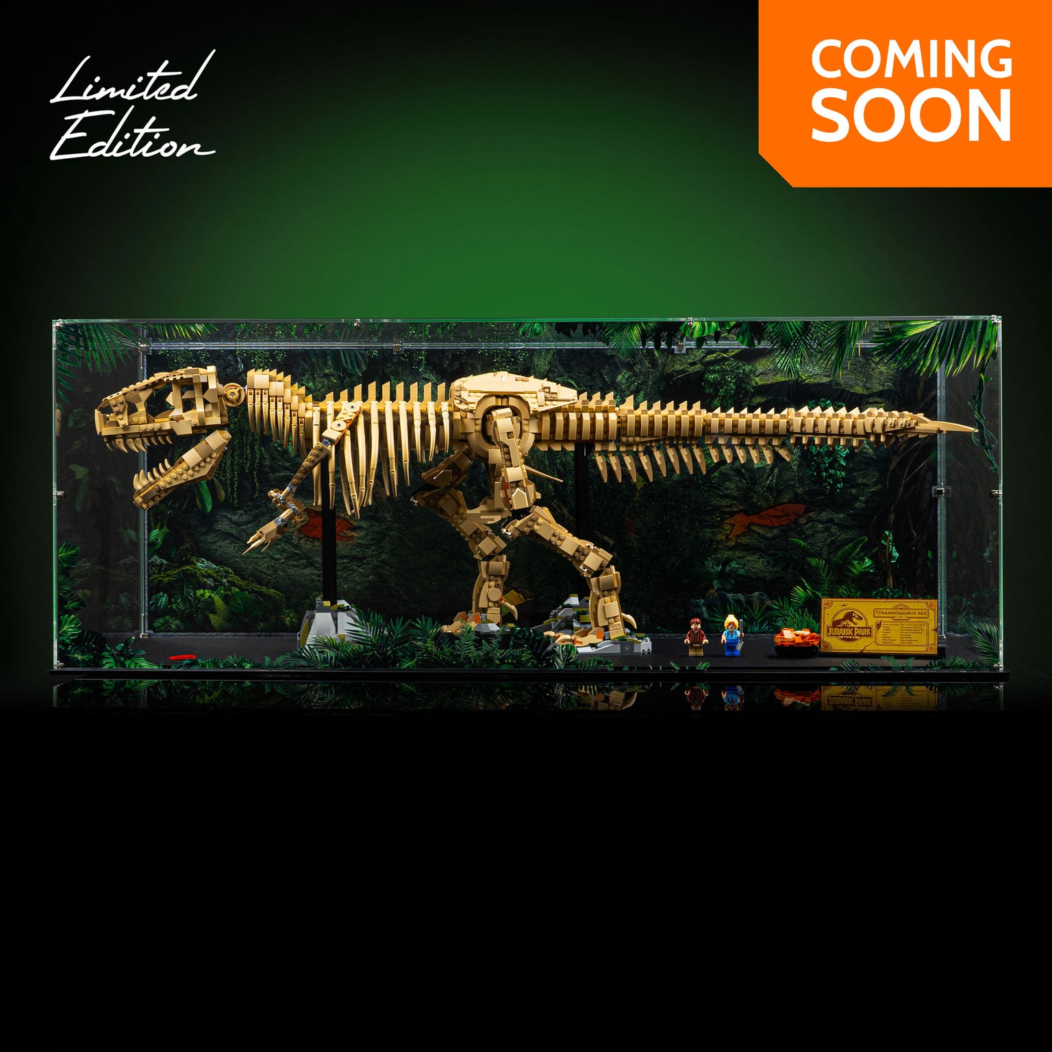 Limited Edition Display Cases — Wicked Brick