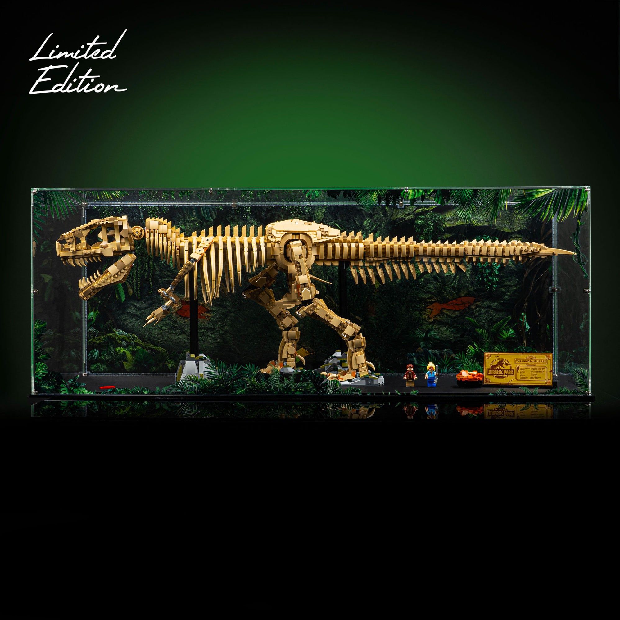 Display Cases and Stands For Pop Culture Collectables | Wicked Brick