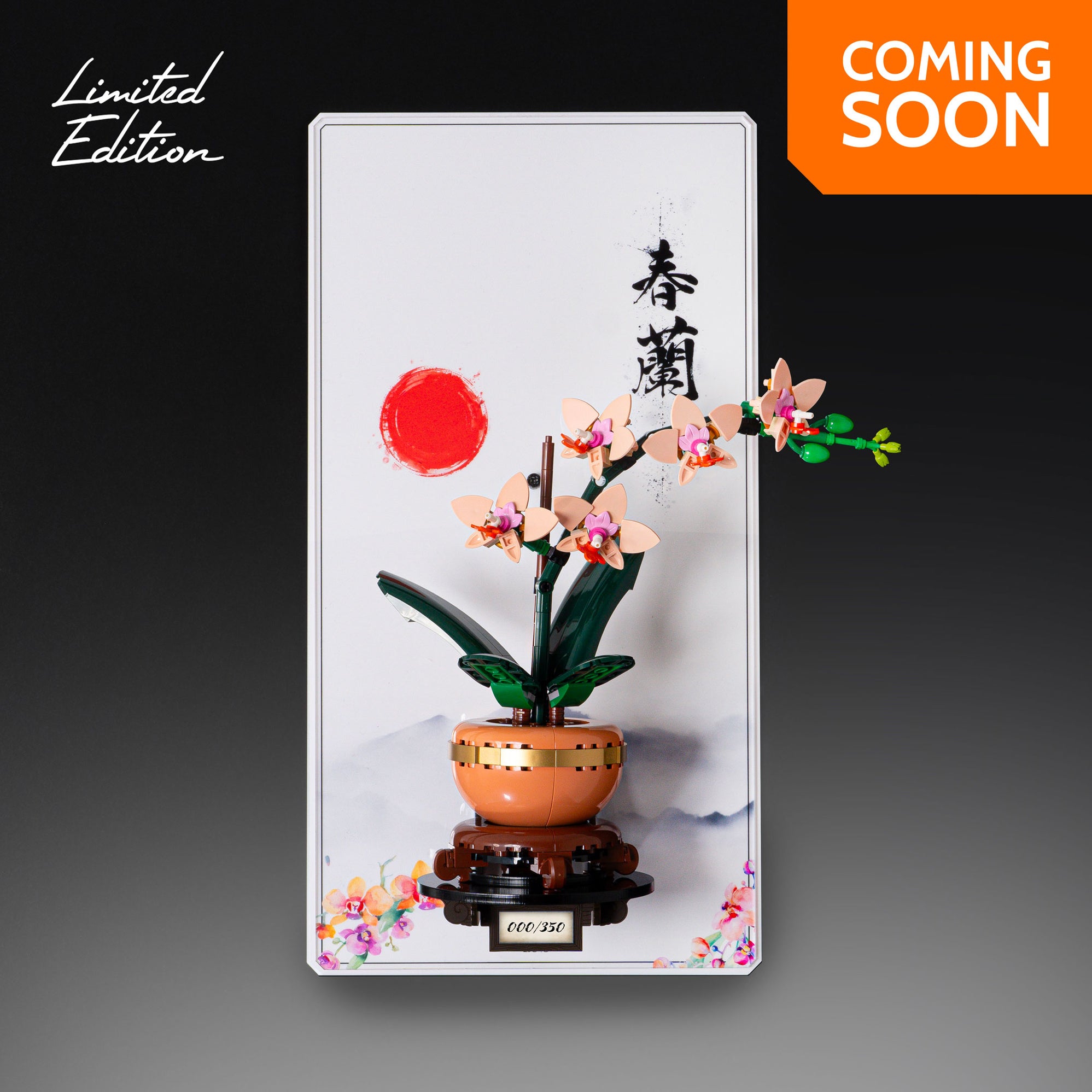 Display Cases and Stands For Pop Culture Collectables | Wicked Brick