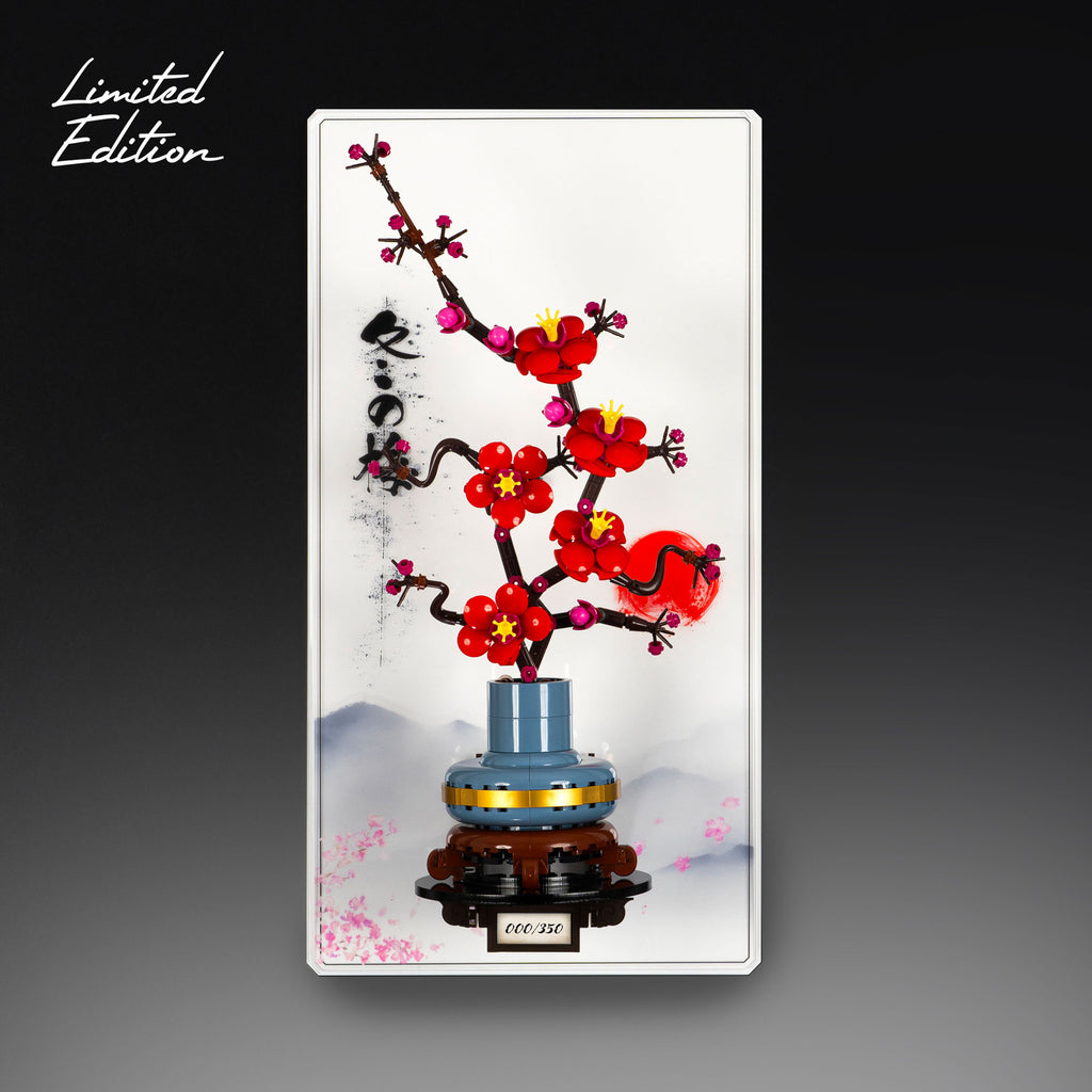 Limited Edition Display Cases — Wicked Brick