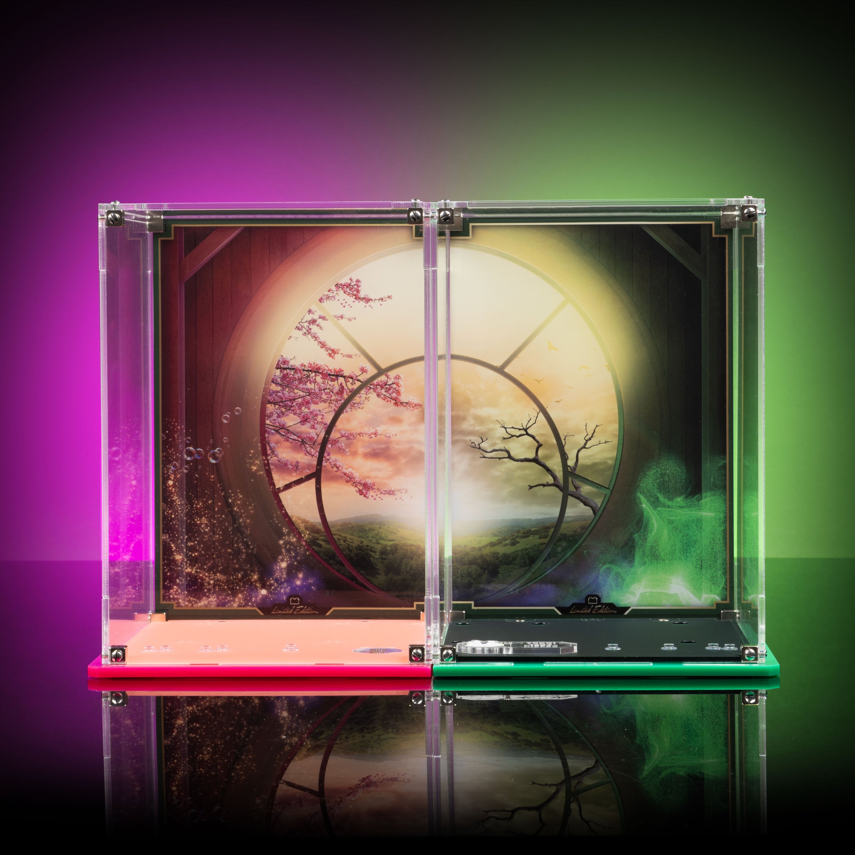 Limited Edition Display Case for LEGO® Wicked: Glinda and Elphaba Book ...