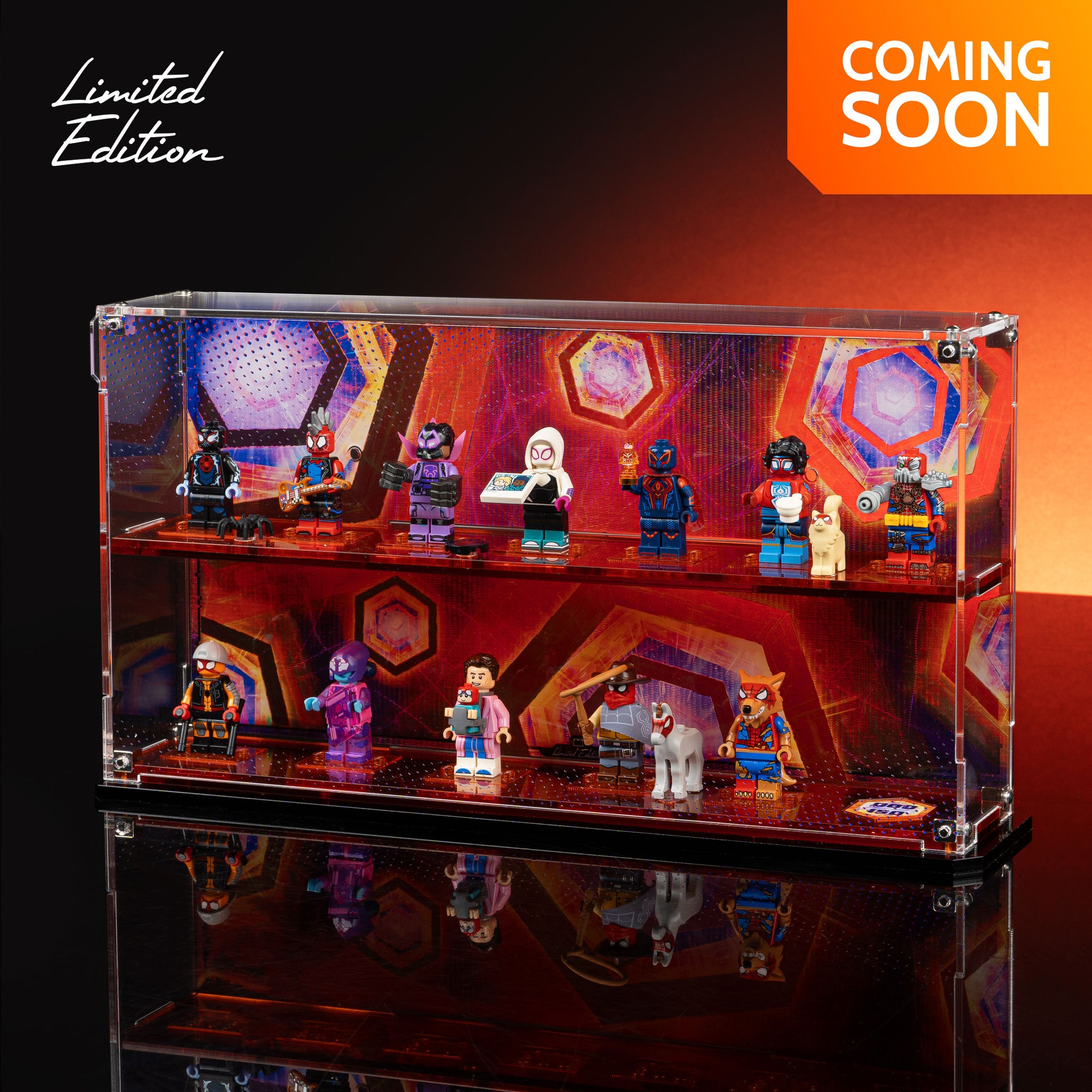 Limited Edition Display Cases — Wicked Brick