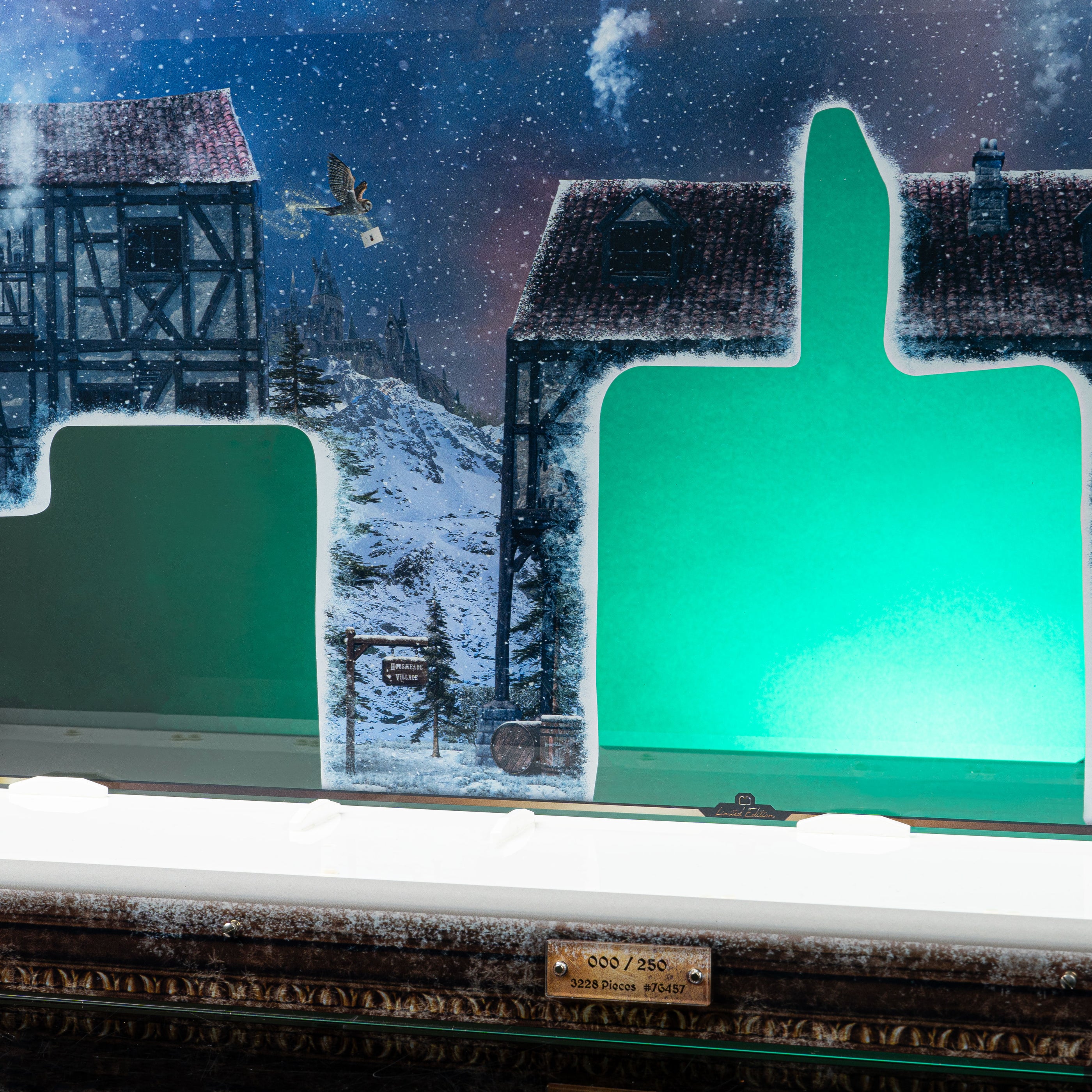 Display Case for LEGO Harry Potter Hogsmeade Village 76457 — Wicked Brick