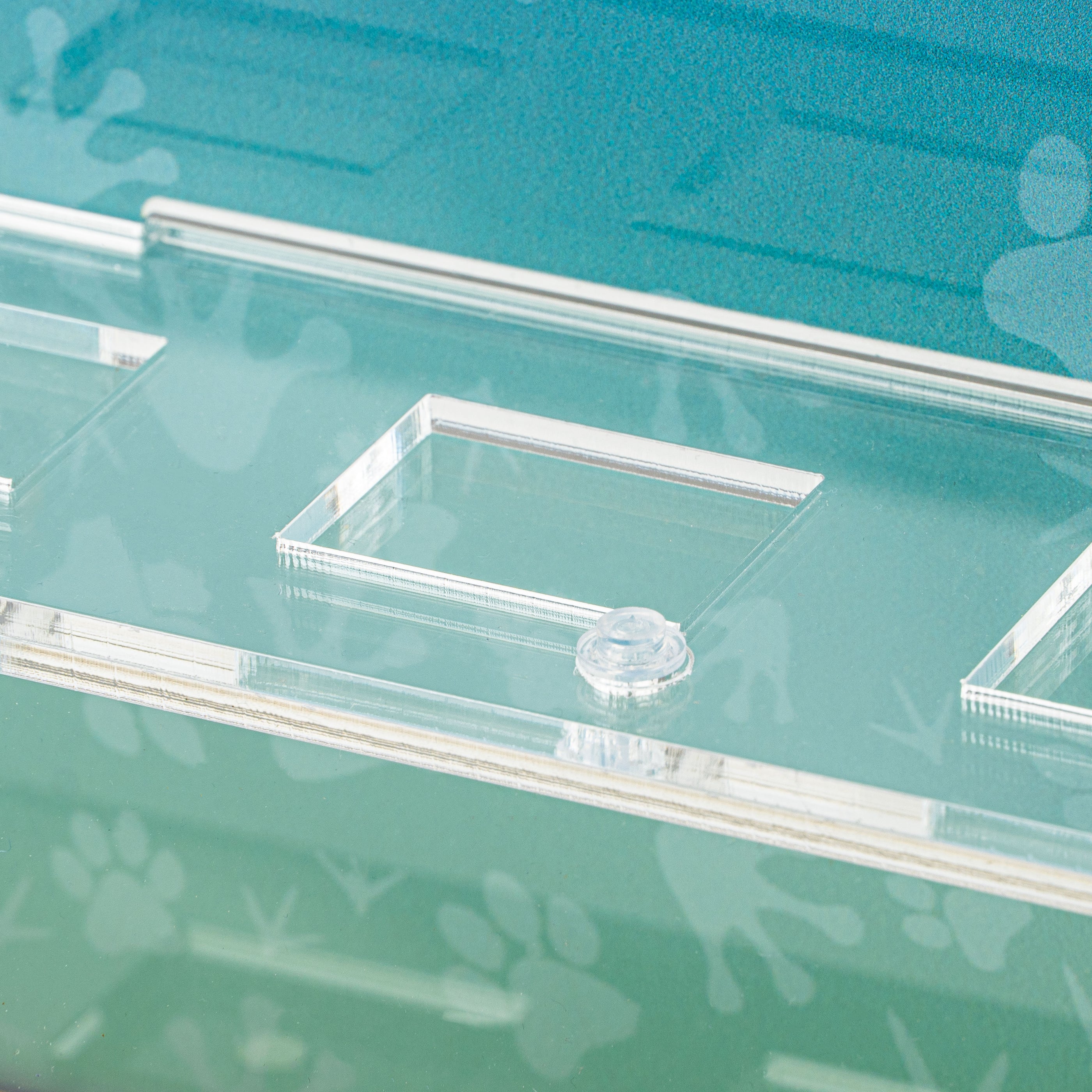 Display Case for LEGO® Collectible Minifigures™: Animals Series 28 (71 ...