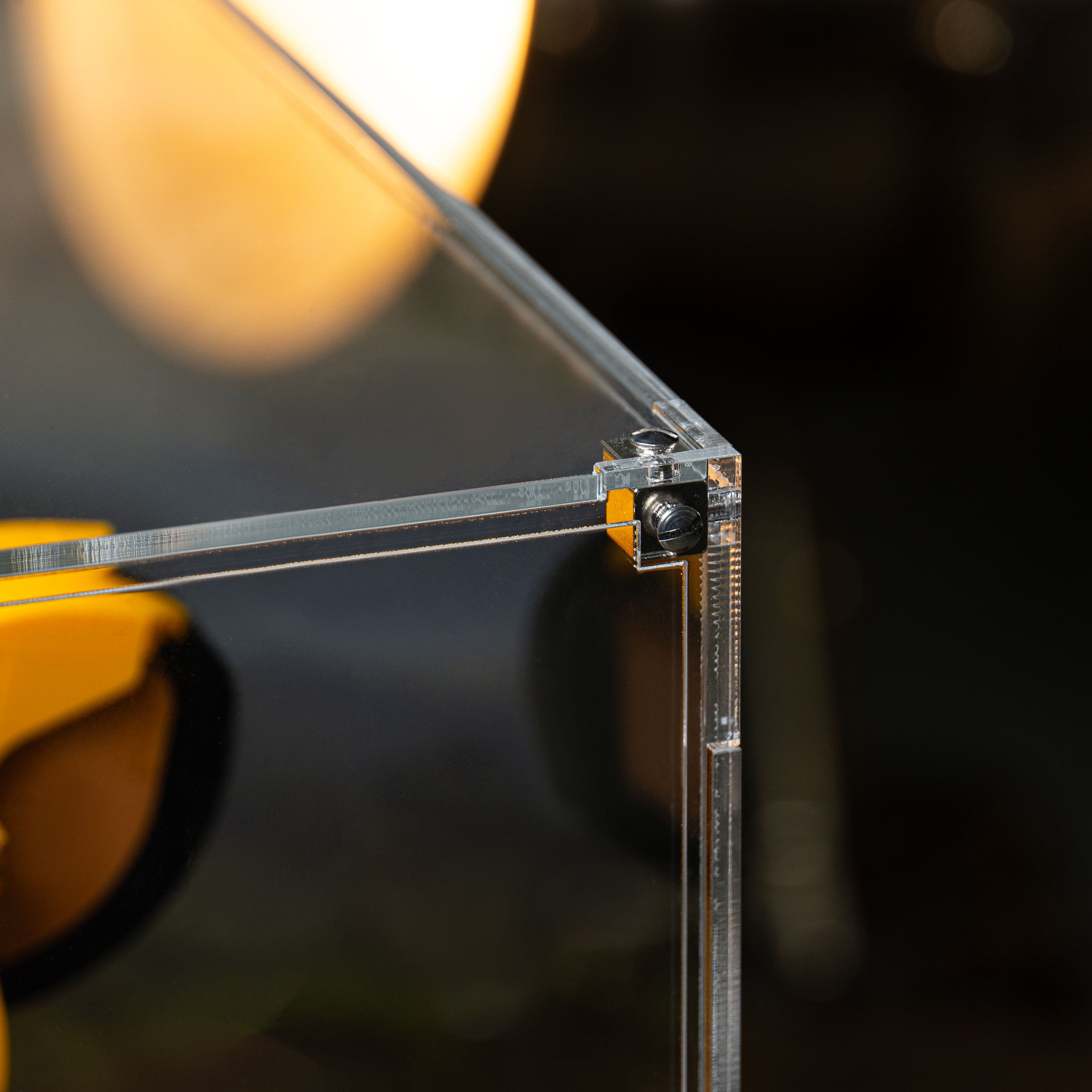 Display Case for LEGO® Young Simba the Lion King (43247) — Wicked Brick