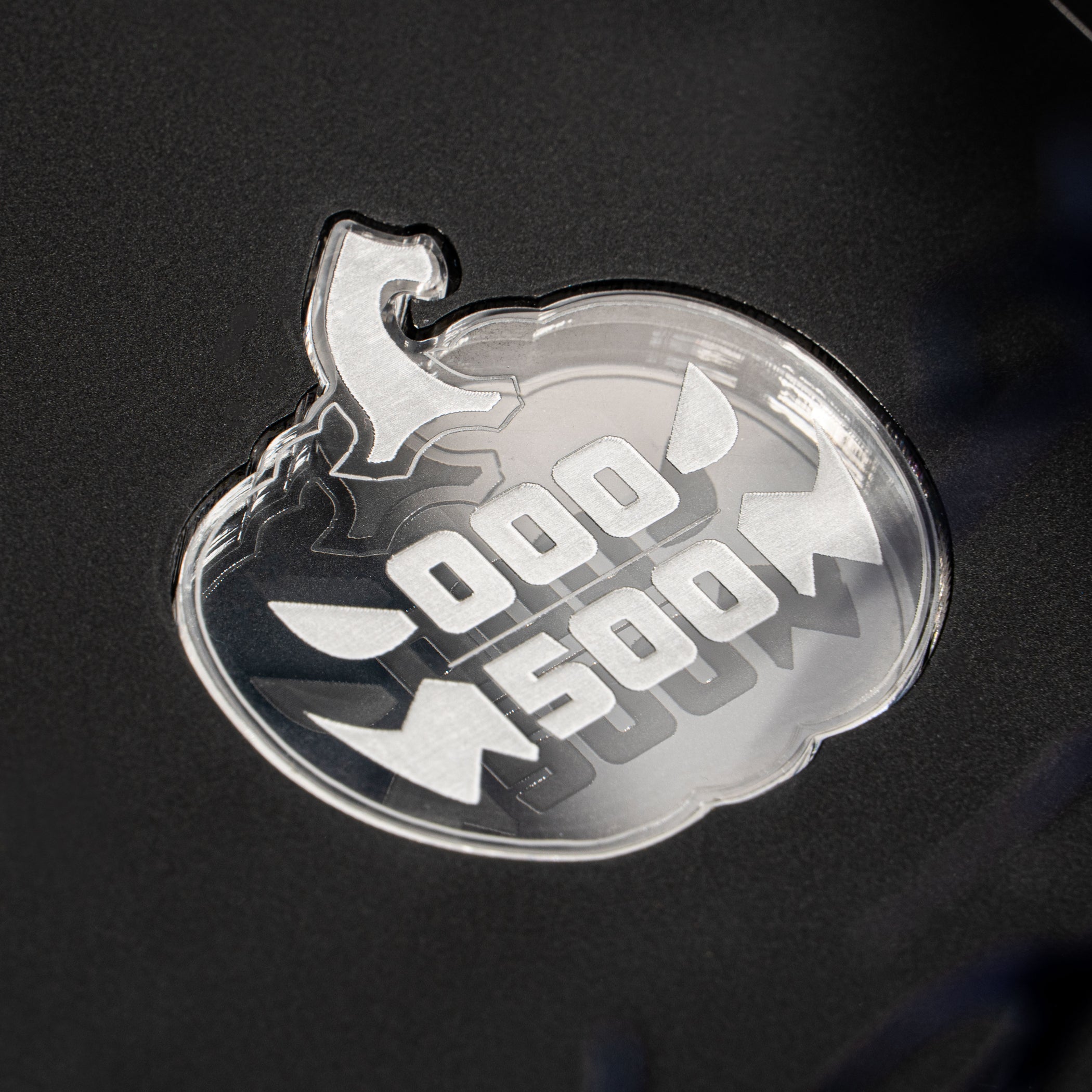 Limited Edition Display Case for LEGO® Ideas: The Nightmare Before Chr ...