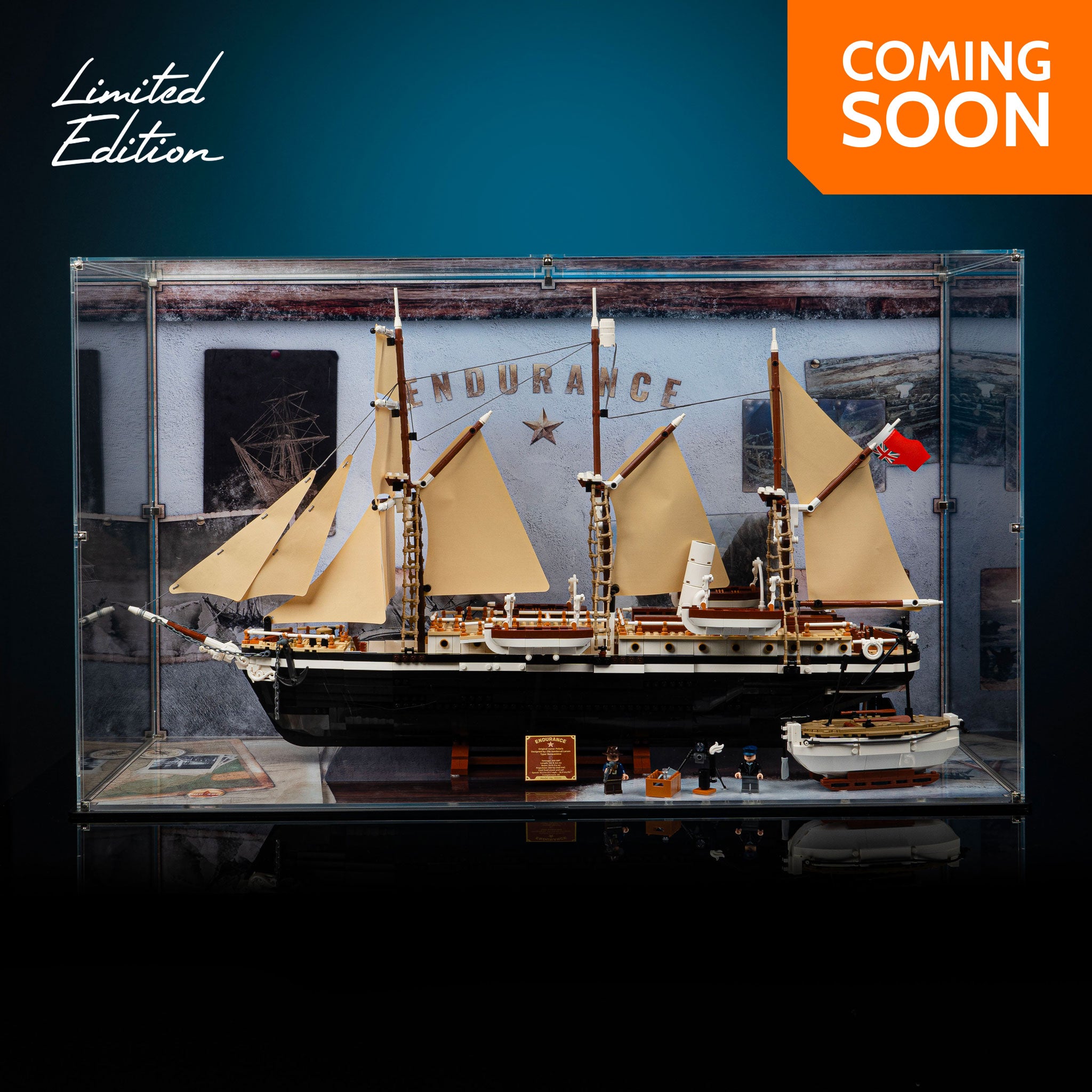 Limited Edition LEGO® Display Solutions — Wicked Brick