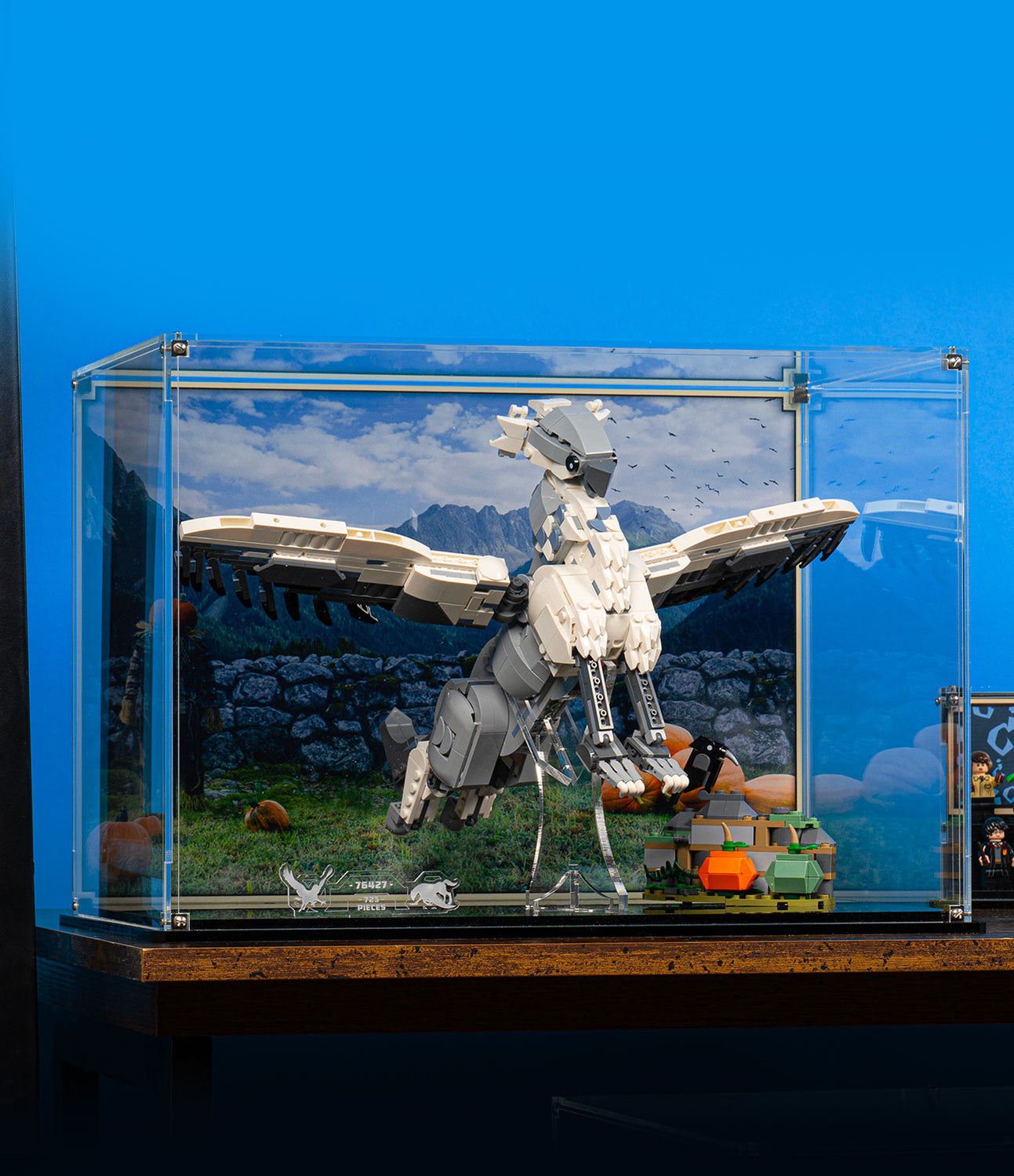 Display Cases and Stands For Pop Culture Collectables | Wicked Brick