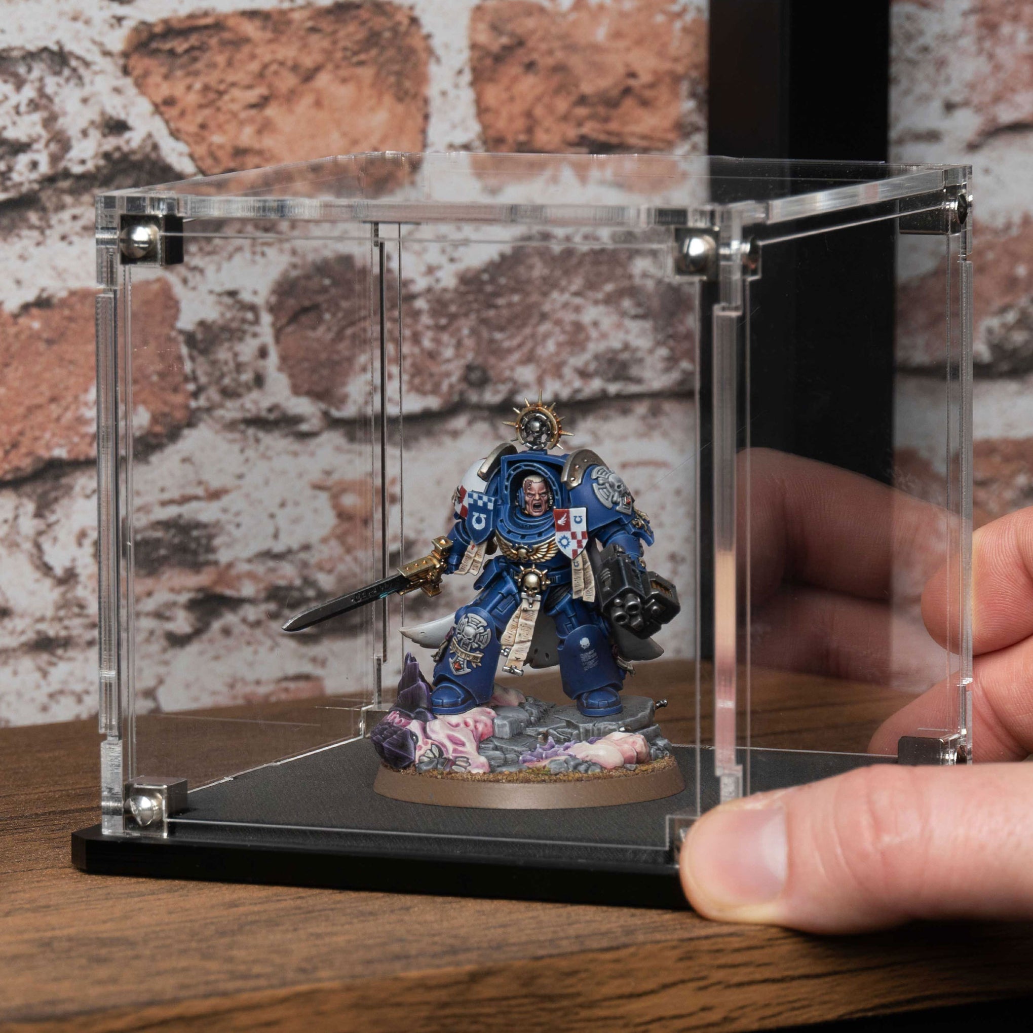 Display Case for Warhammer Miniature with Clear Background — Wicked Brick