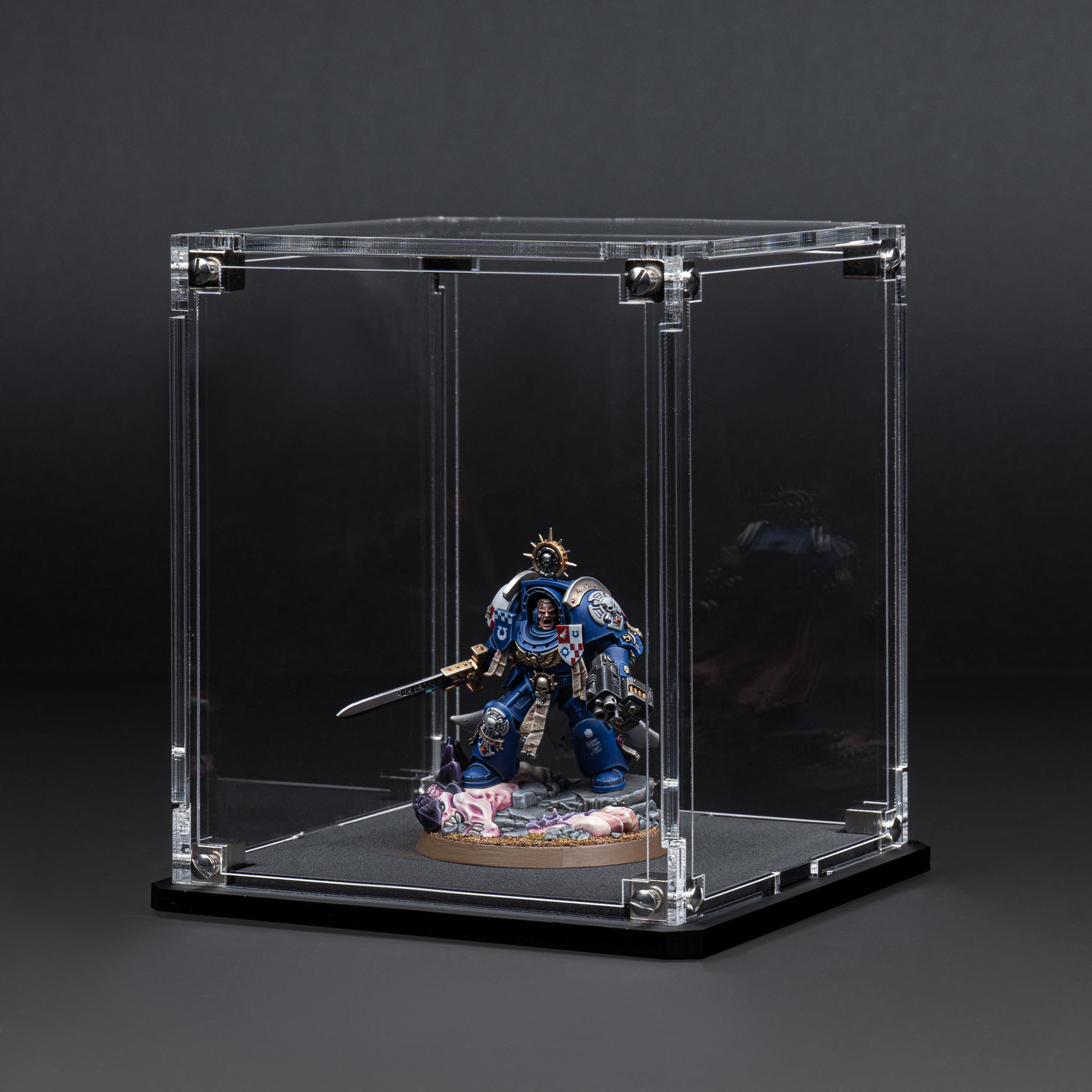 Display Case for Warhammer Miniature with Clear Background — Wicked Brick