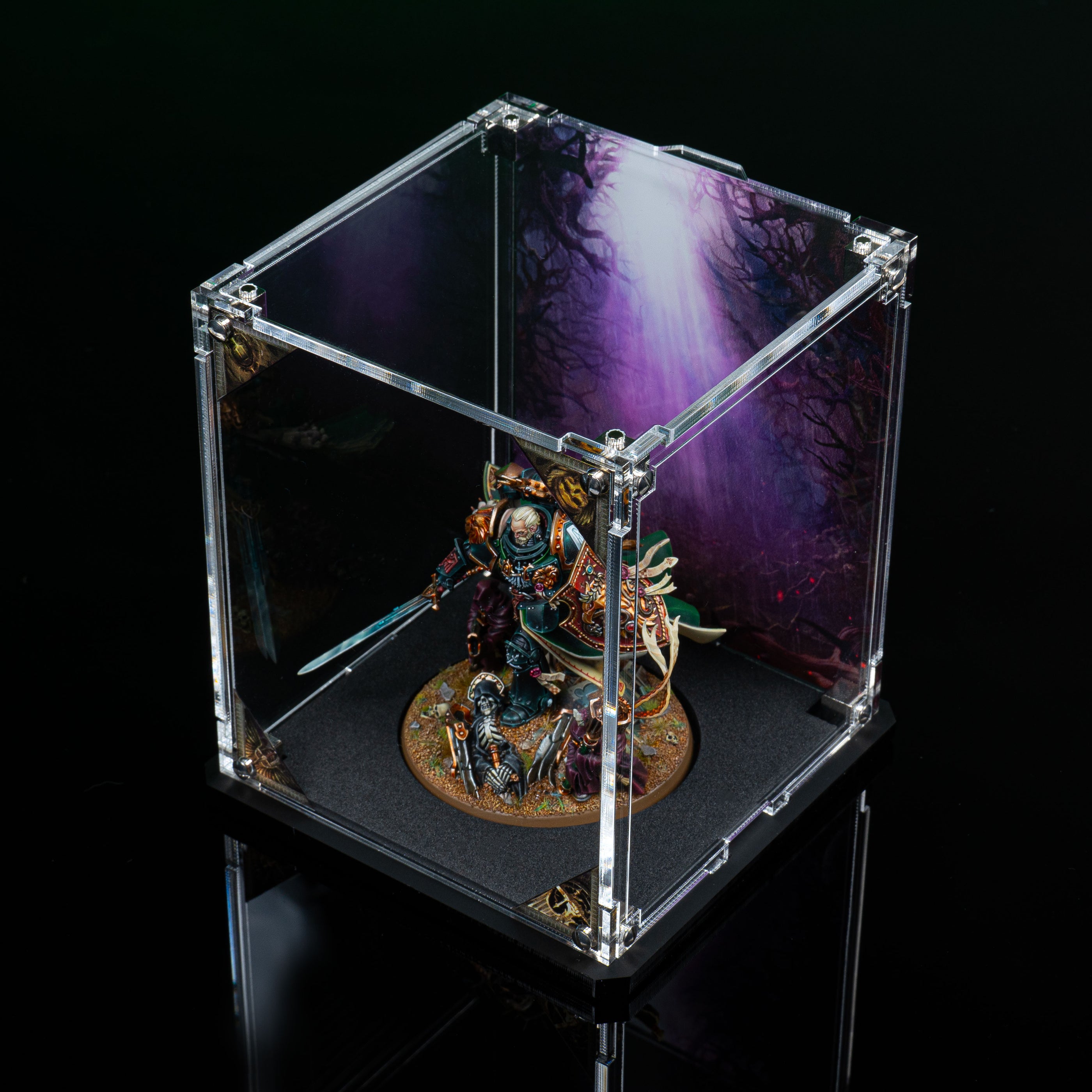 Limited Edition Display Case for Warhammer 40,000 Dark Angels Lion El ...