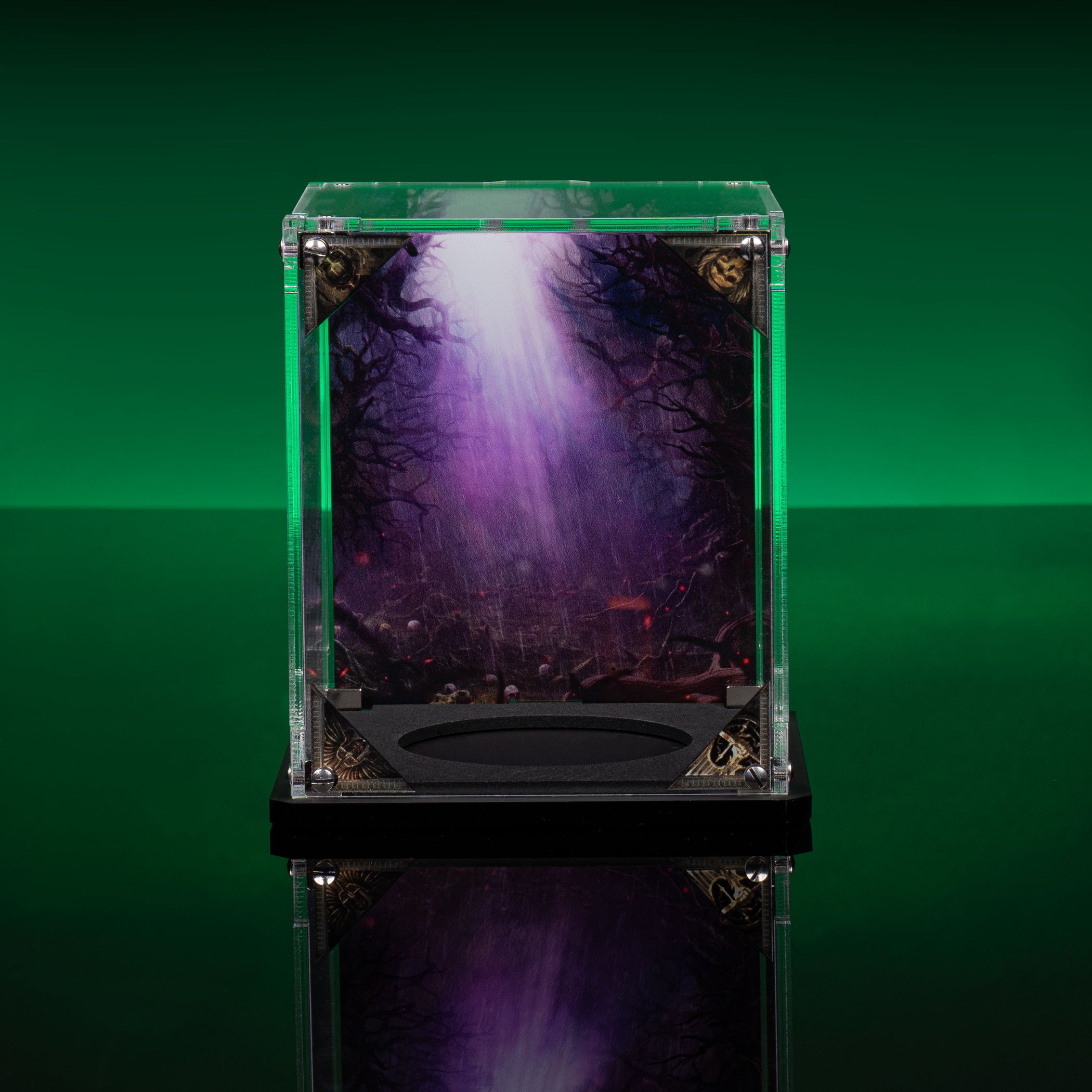 Limited Edition Display Case for Warhammer 40,000 Dark Angels Lion El ...