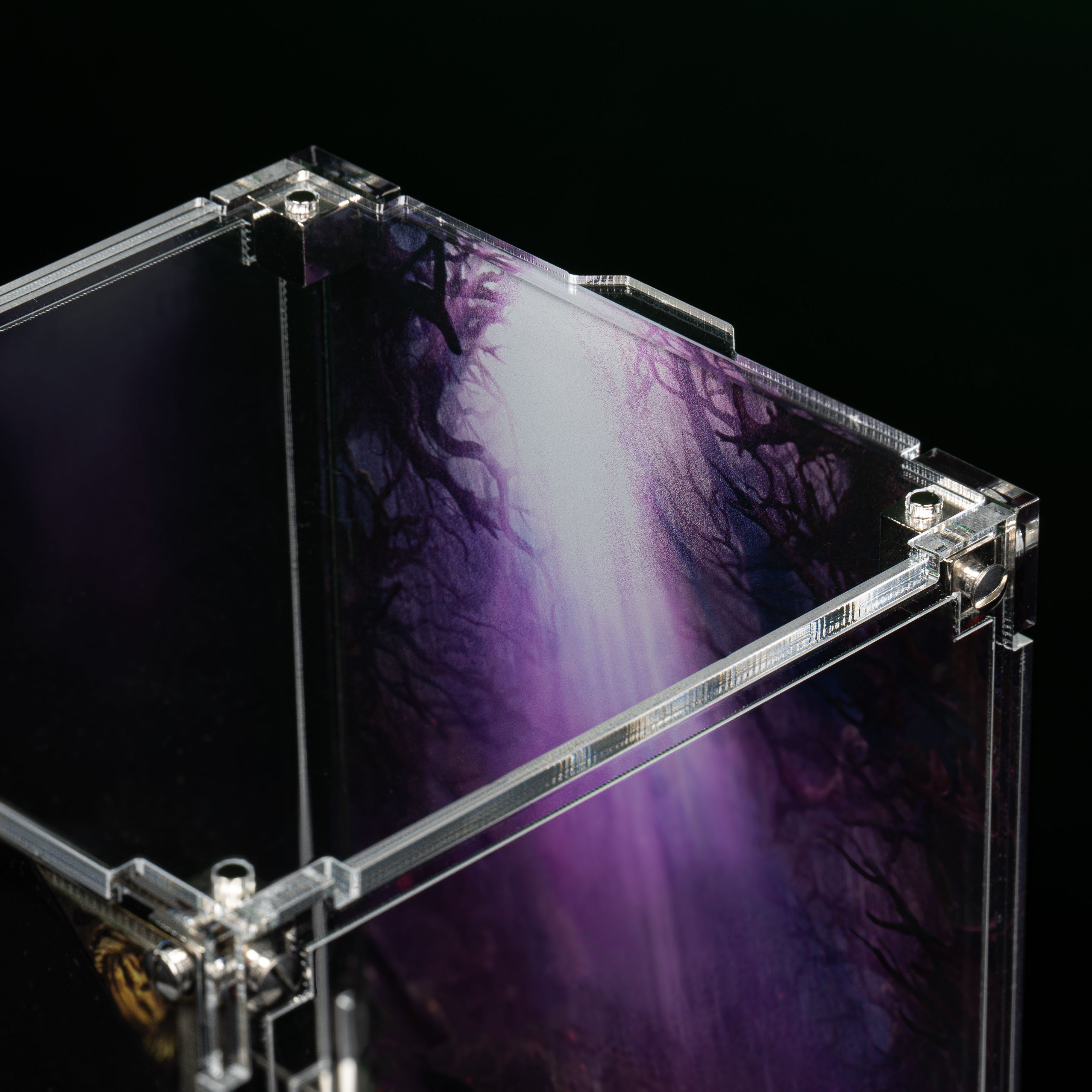 Limited Edition Display Case for Warhammer 40,000 Dark Angels Lion El ...