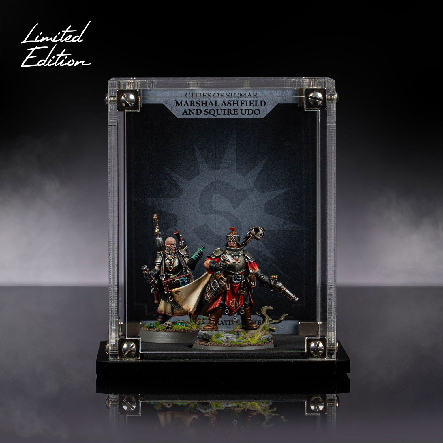 Limited Edition Display Cases — Wicked Brick