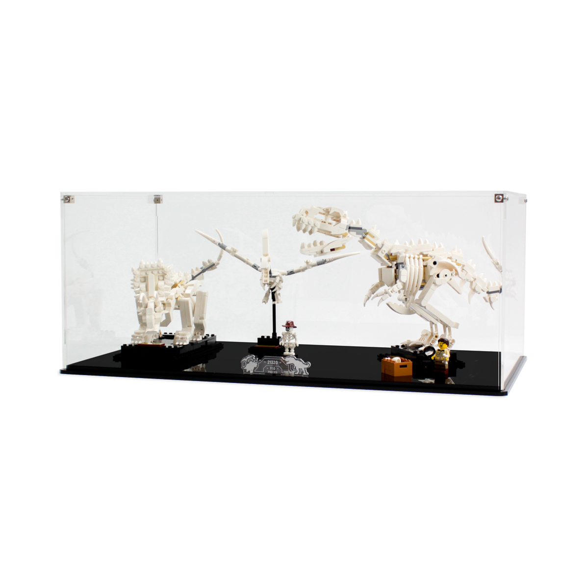 Display Case for LEGO® Ideas: Dinosaur Fossils (21320) — Wicked Brick