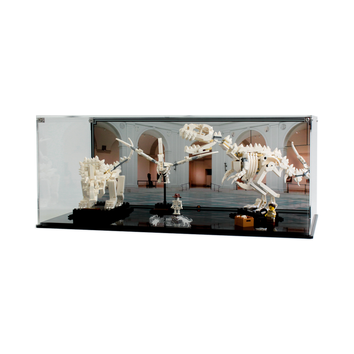 Display Case for LEGO® Ideas: Dinosaur Fossils (21320) — Wicked Brick