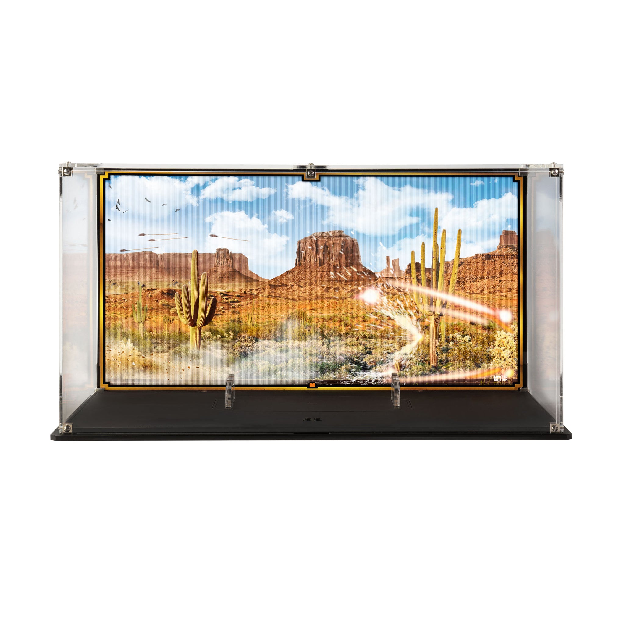 Display Case for LEGO Back to the Future Time Machine 10300 — Wicked Brick